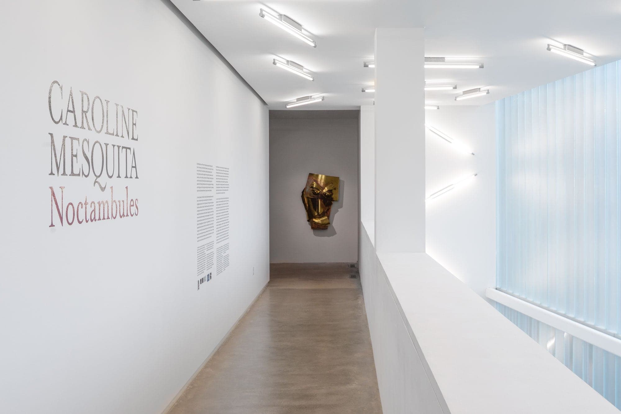 Caroline Mesquita - Blaffer Art Museum