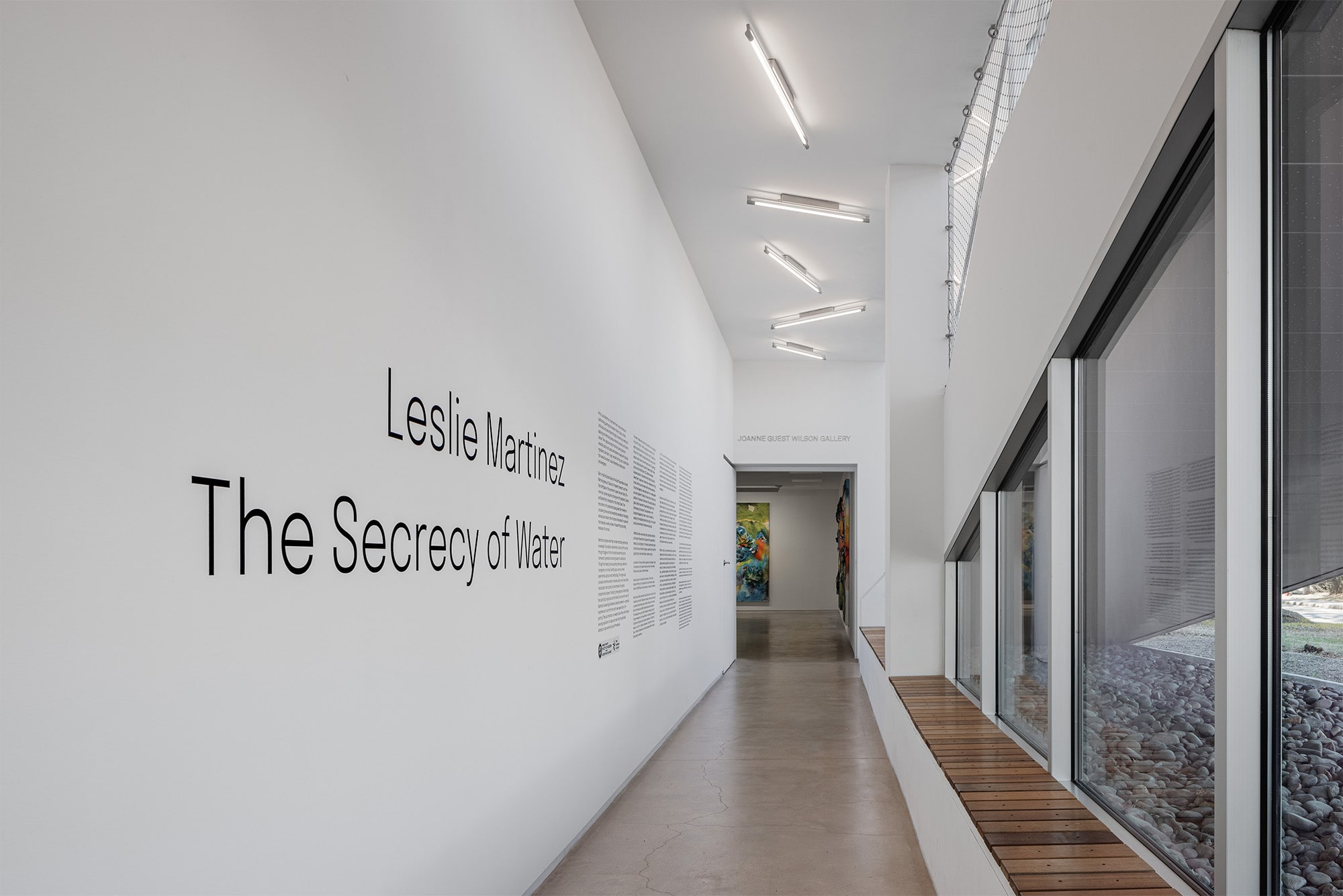Leslie Martinez | The Secrecy of Water - Blaffer Art Museum