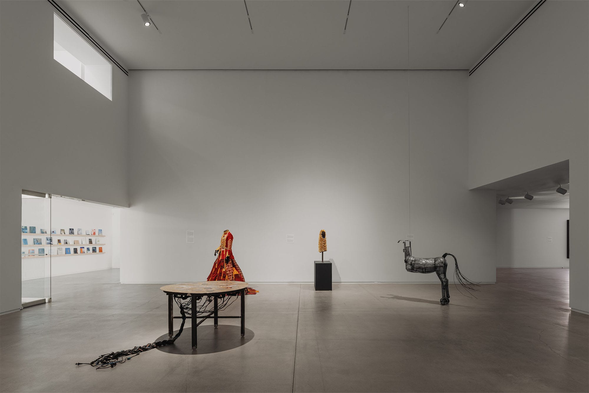 Christopher Myers - Blaffer Art Museum