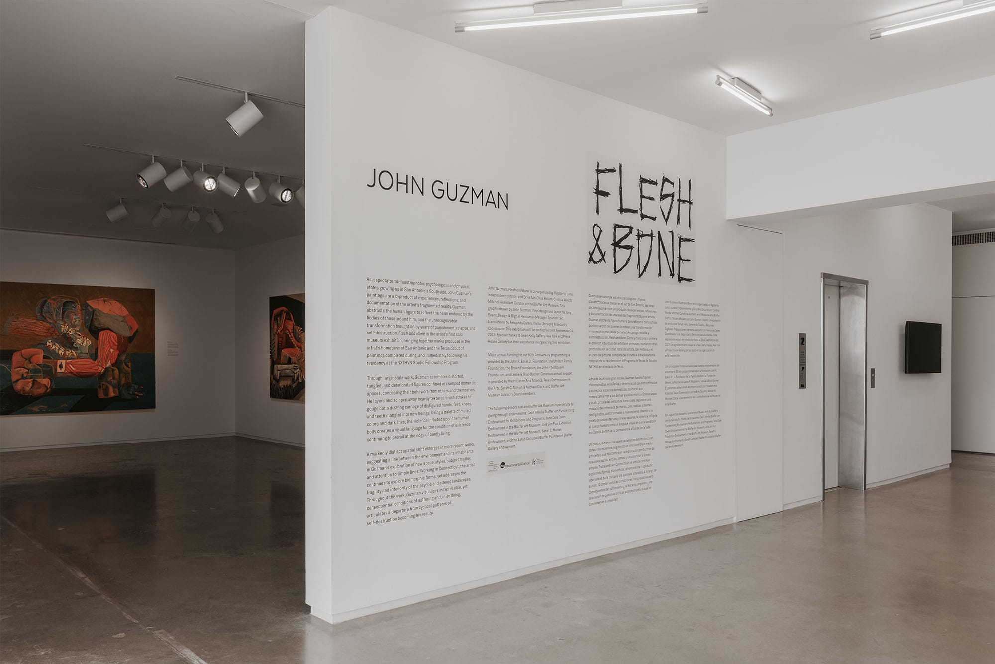 John Guzman: Flesh and Bone - Blaffer Art Museum