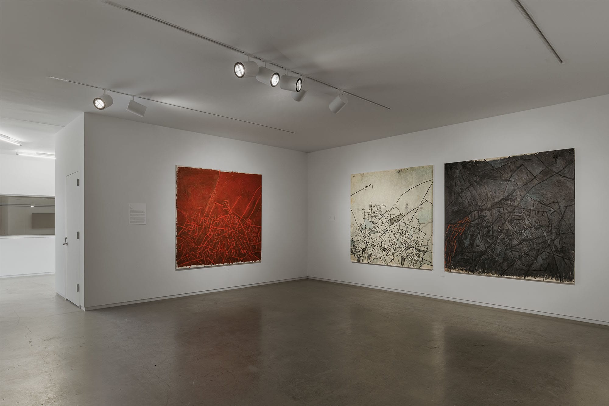 John Guzman: Flesh and Bone - Blaffer Art Museum