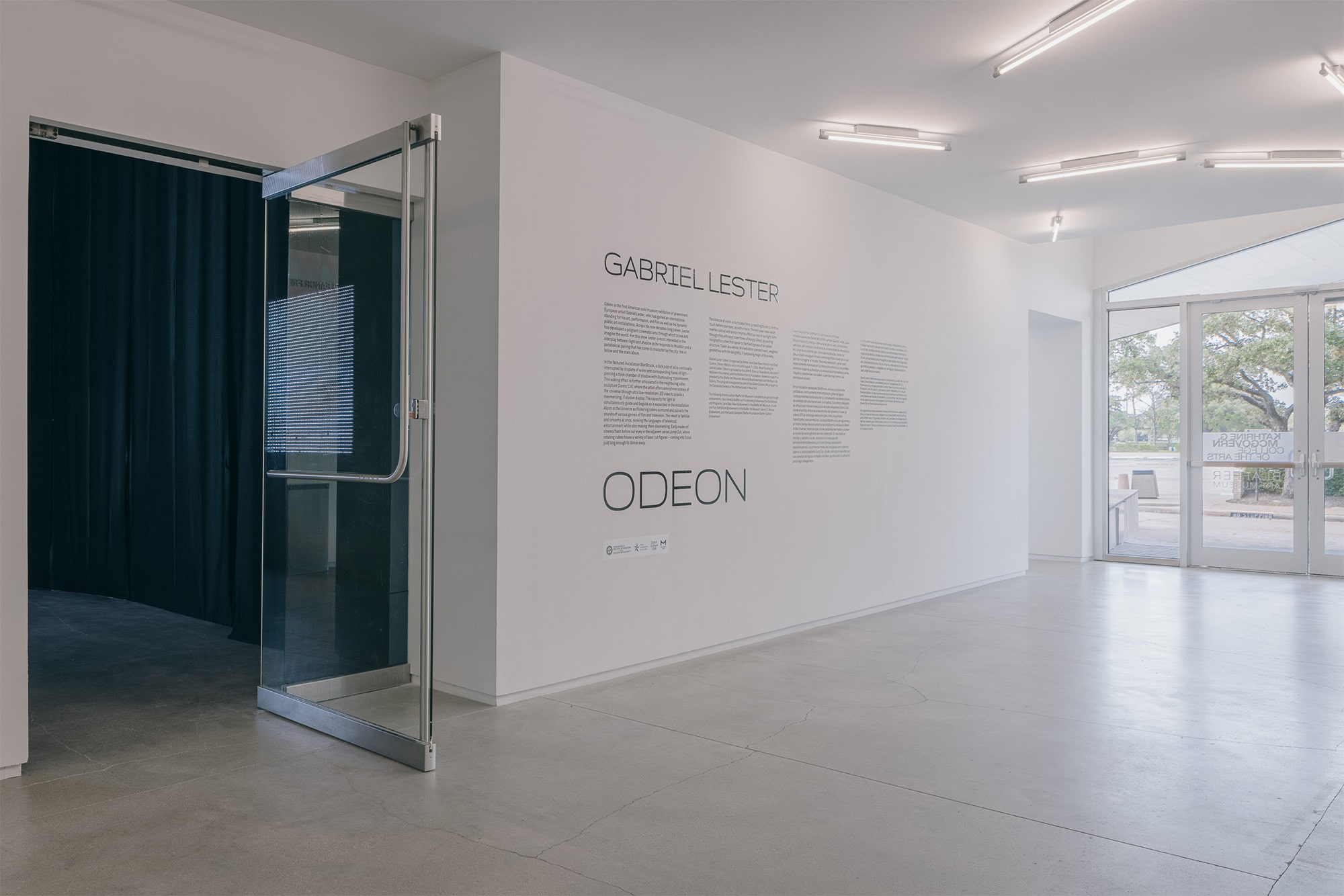 Gabriel Lester - Blaffer Art Museum