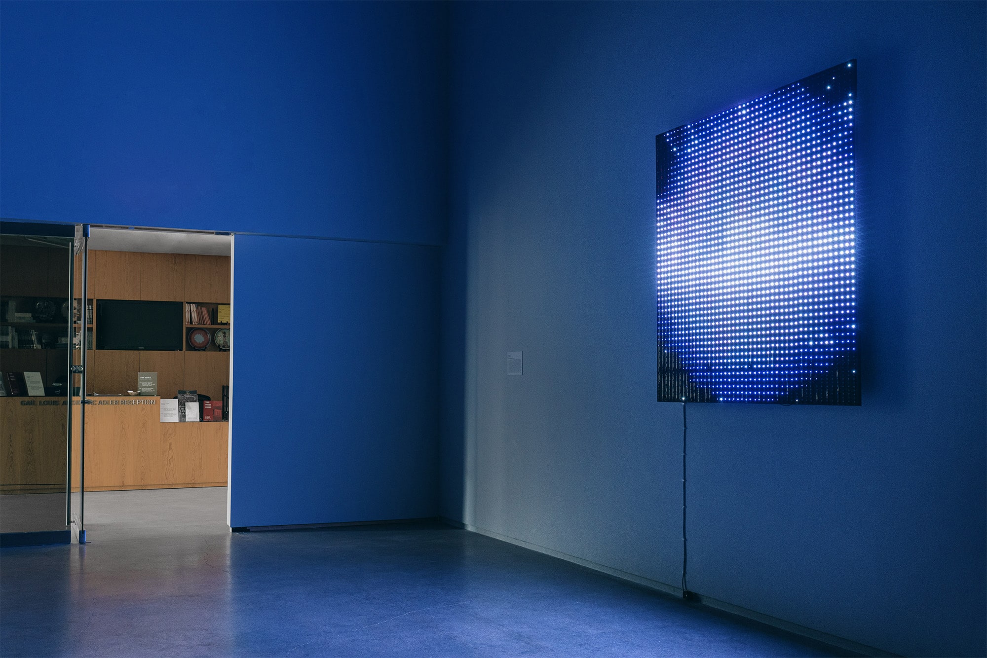 Gabriel Lester - Blaffer Art Museum