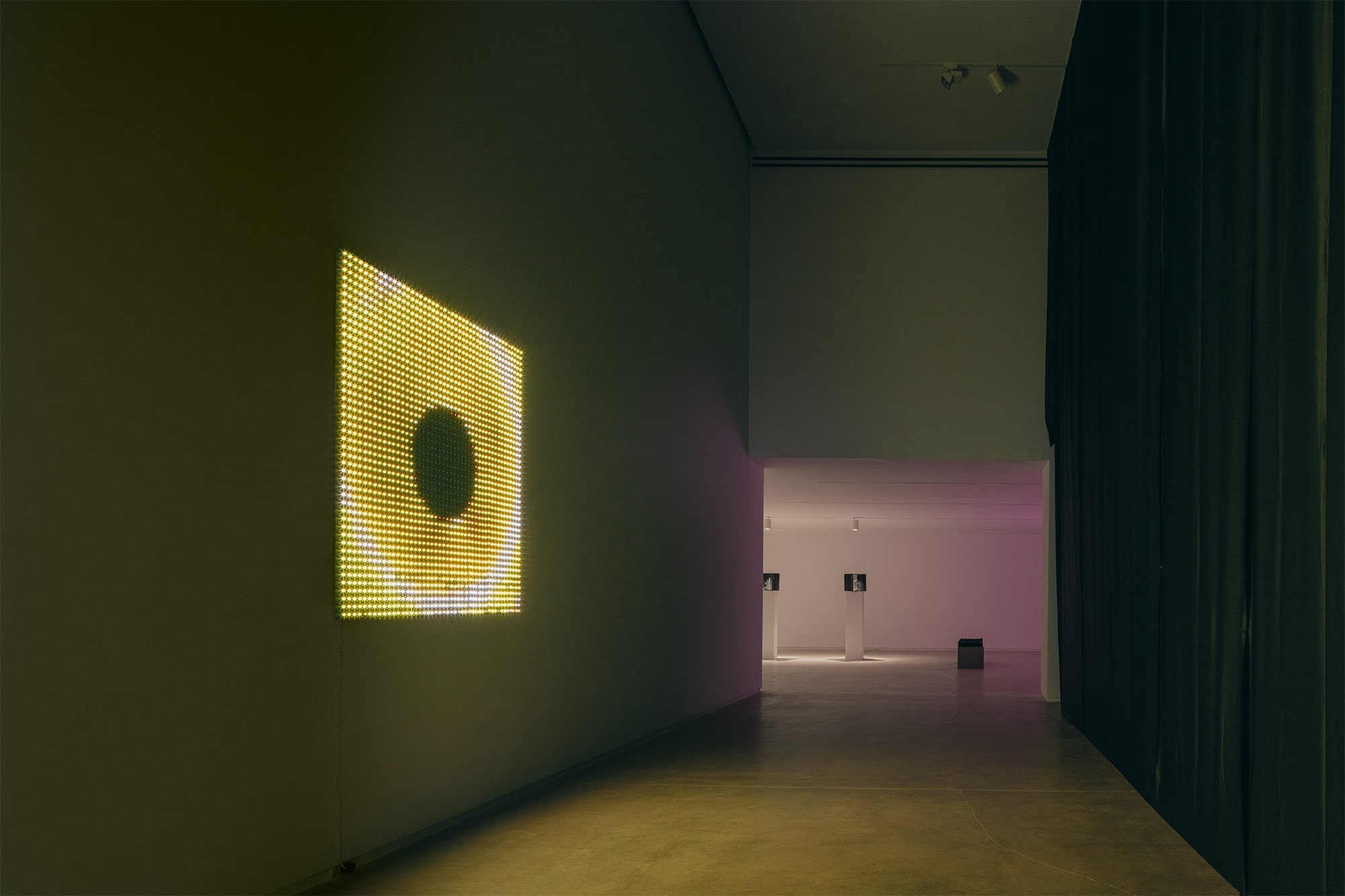 Gabriel Lester - Blaffer Art Museum