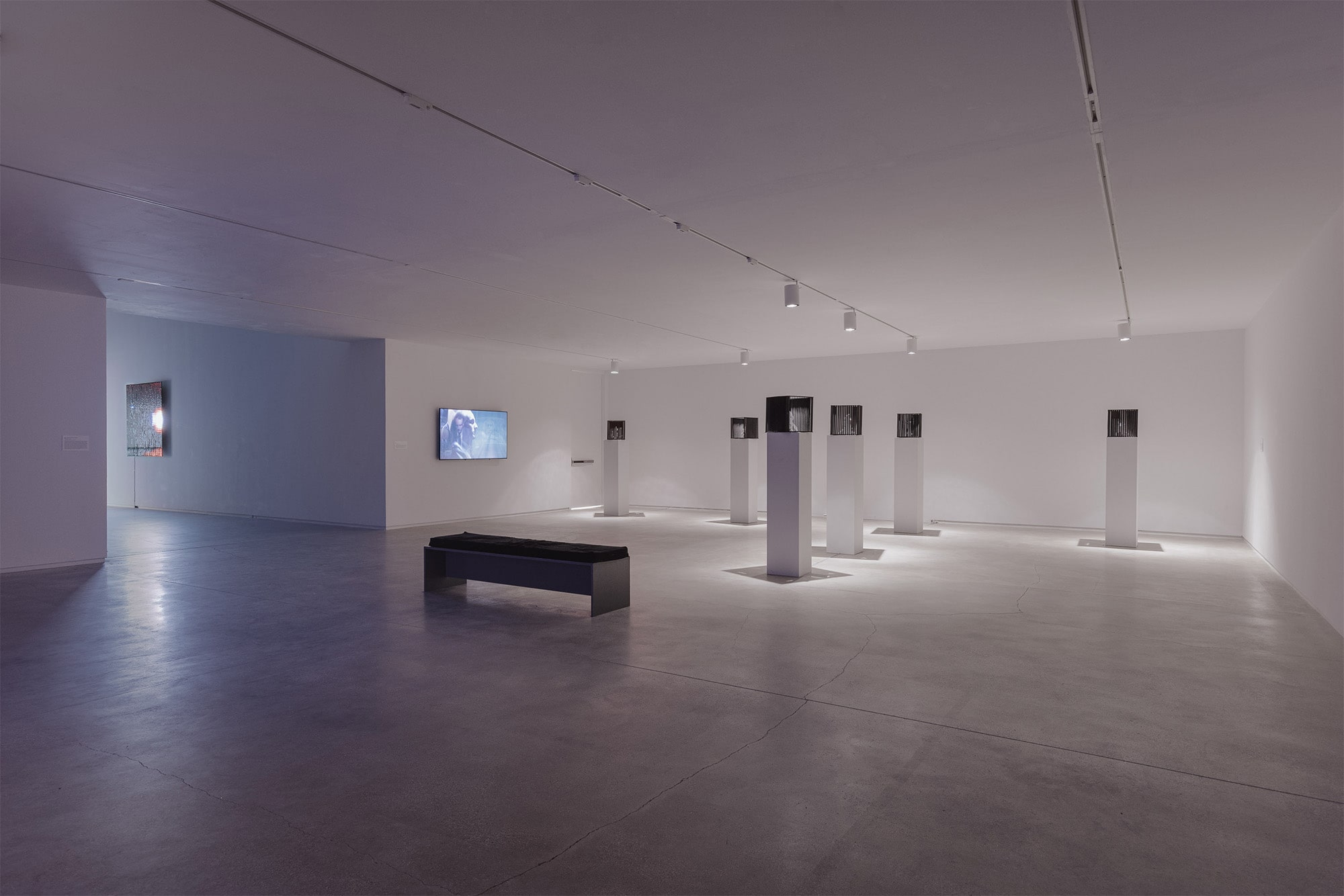 Gabriel Lester - Blaffer Art Museum