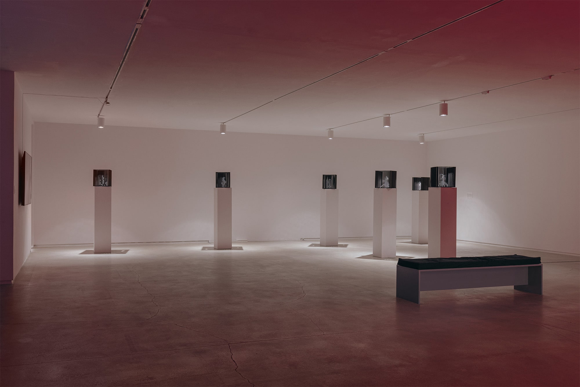 Gabriel Lester - Blaffer Art Museum