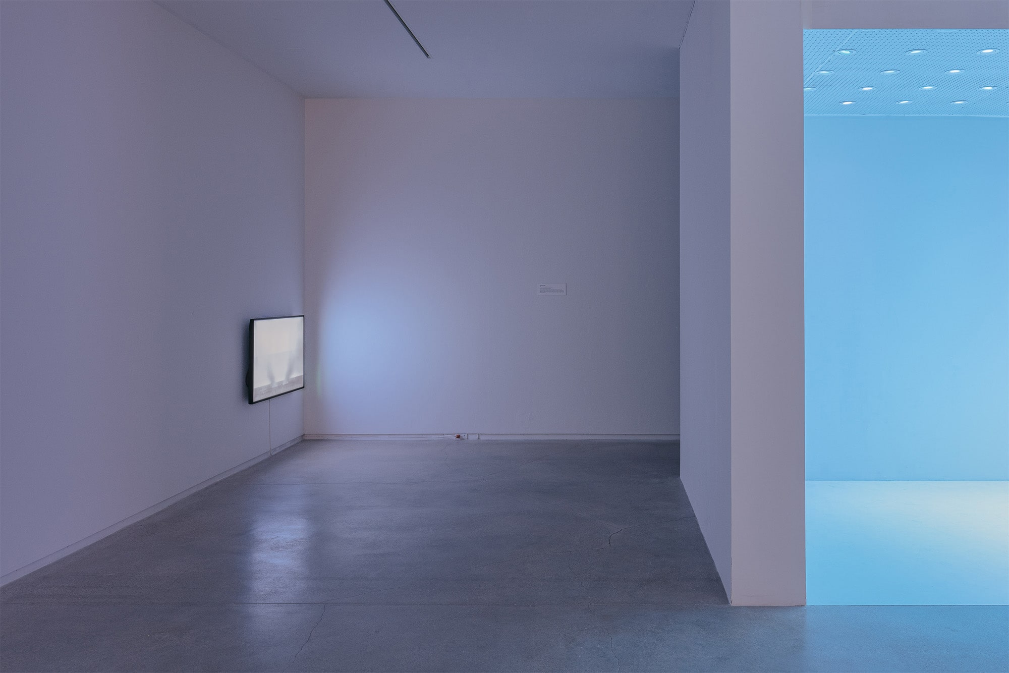 Gabriel Lester - Blaffer Art Museum